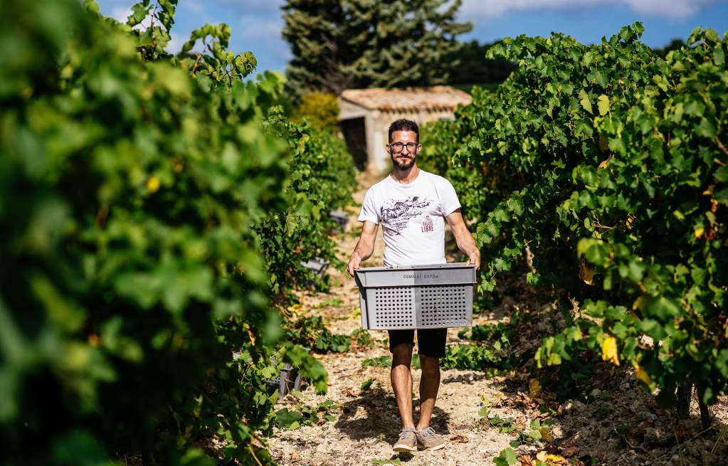 Domaine Gayda begeistert Robert Parker - Globalwine