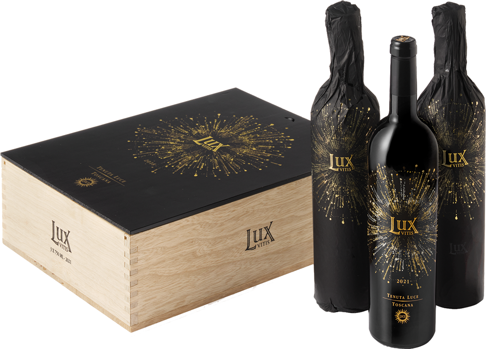 Lux Vitis in 3er Holzkiste 2021 kaufen | Globalwine