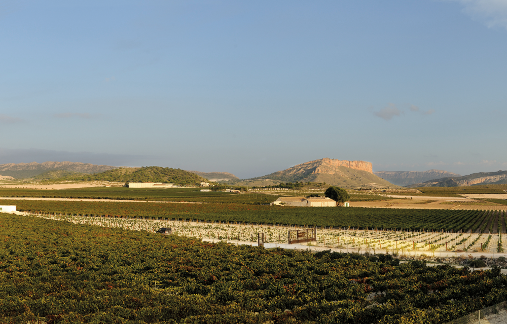 Bodegas Juan Gil Weingut - Jumilla, Spanien | Globalwine